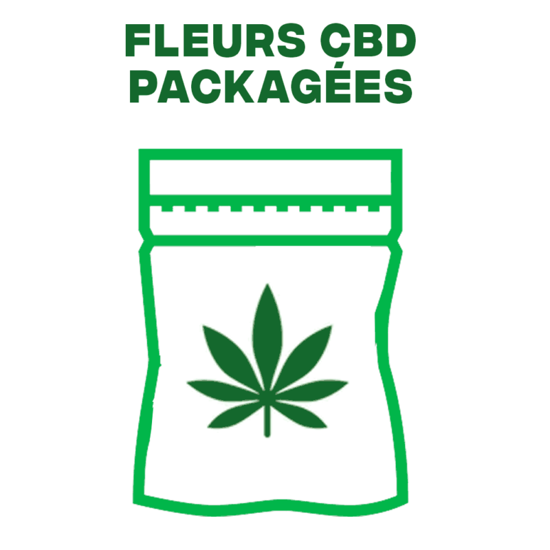 Accueil - Grossiste de CBD